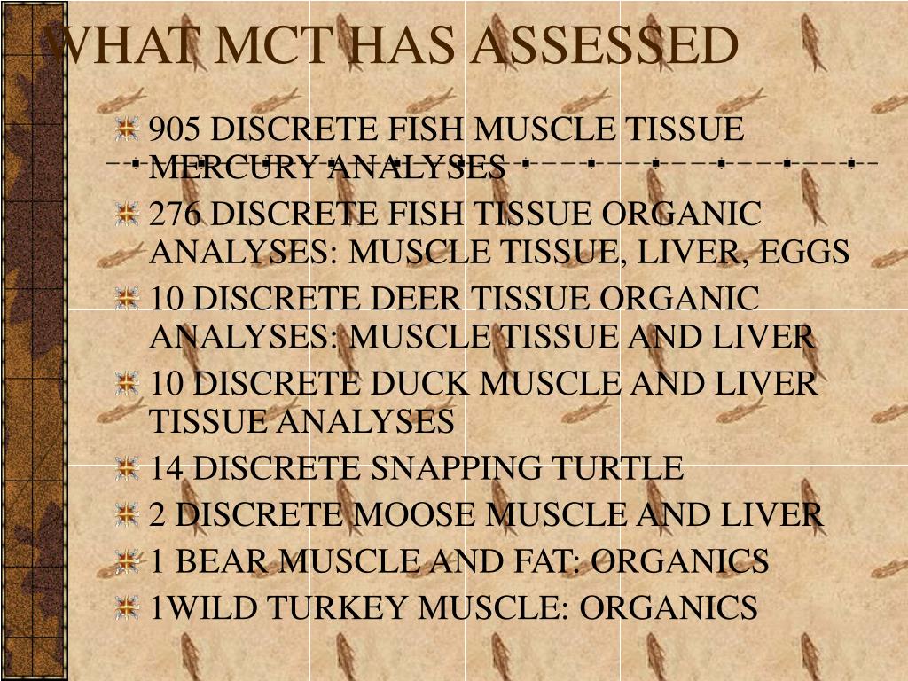 PPT - A TRIBAL FOOD SAFETY INITIATIVE PowerPoint Presentation, free ...