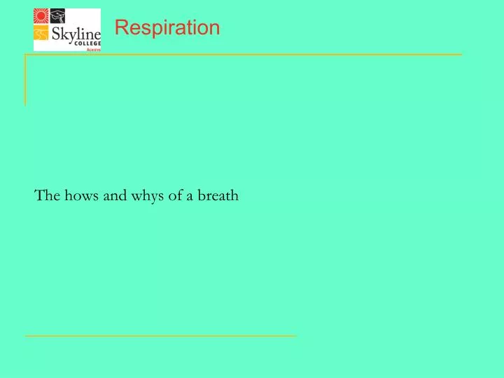 PPT - Respiration PowerPoint Presentation, free download - ID:1709077