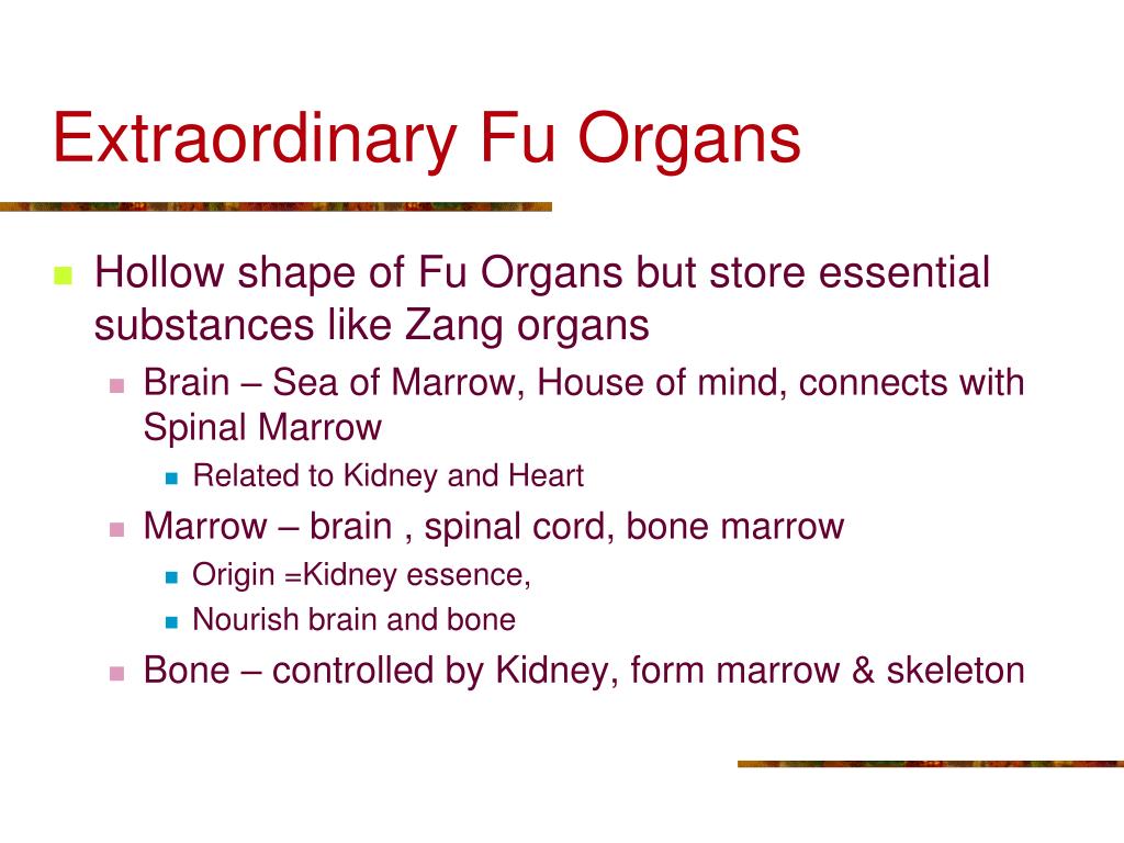 PPT - Traditional Chinese Veterinary Medicine PowerPoint Presentation ...