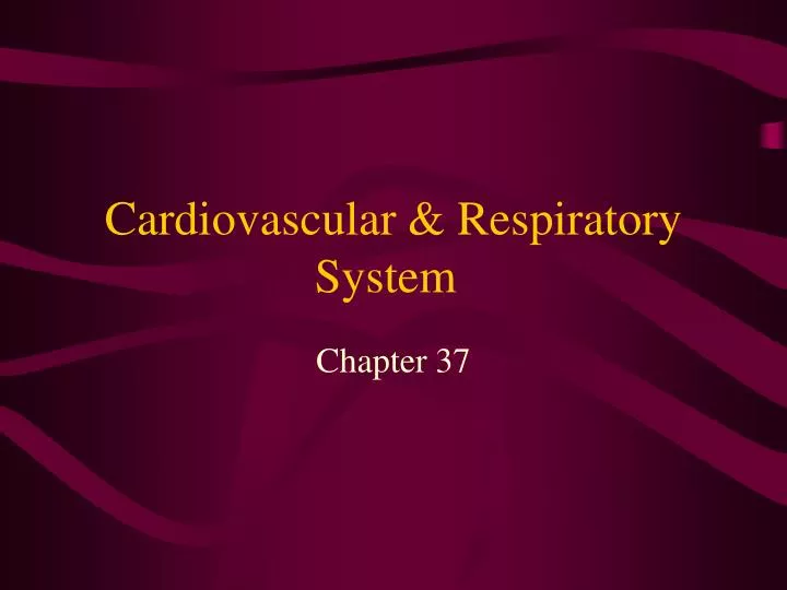 PPT - Cardiovascular & Respiratory System PowerPoint Presentation, free ...