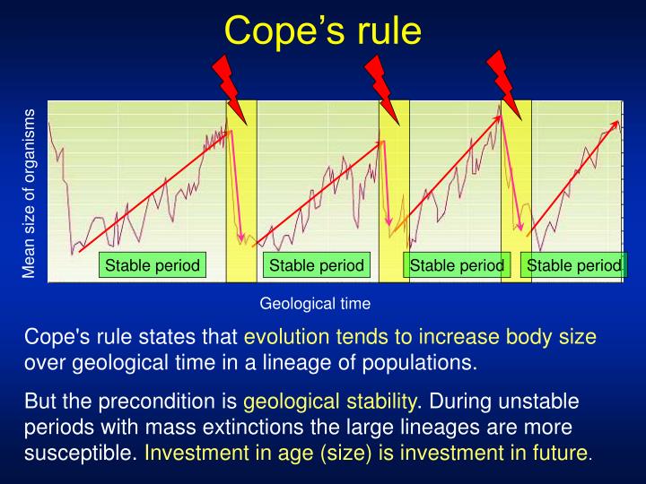 PPT - Perspectives and dilemmas for small-scale fisheries management in ...