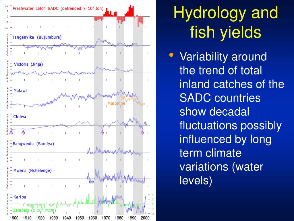 PPT - Perspectives and dilemmas for small-scale fisheries management in ...