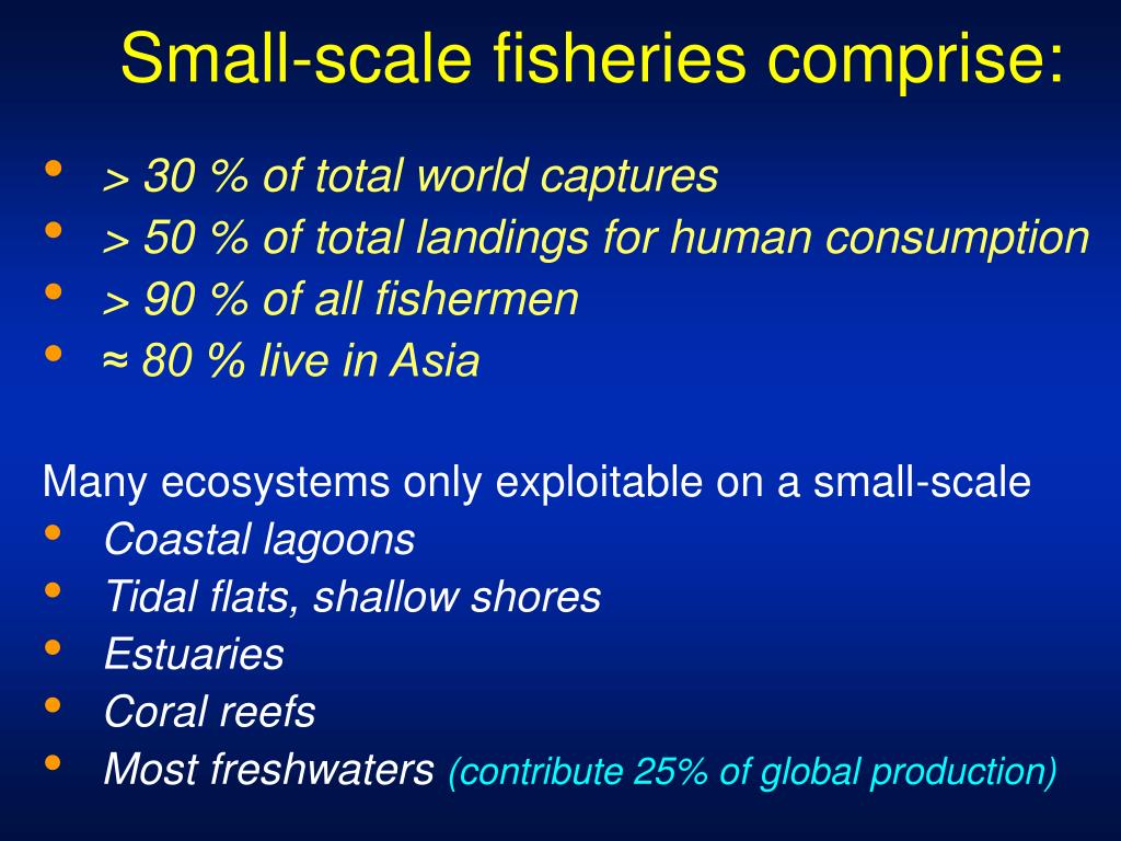 PPT - Perspectives and dilemmas for small-scale fisheries management in ...