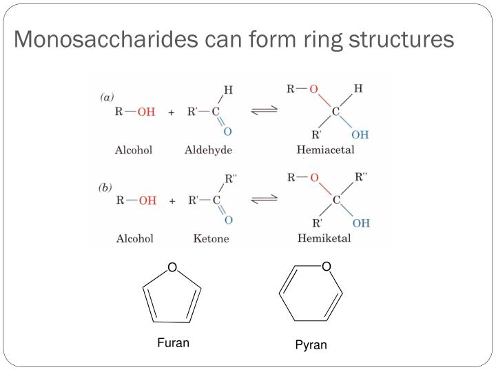 PPT - CARBOHYDRATES PowerPoint Presentation - ID:1710334