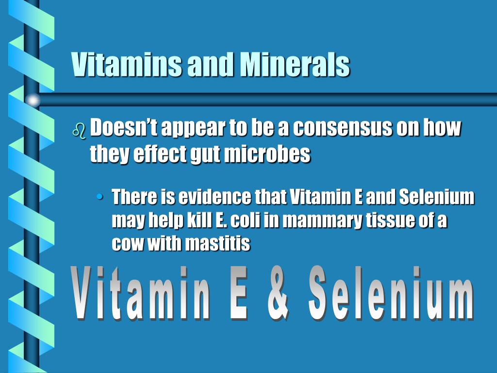 PPT - Animal Nutrition and HACCP PowerPoint Presentation, free download ...