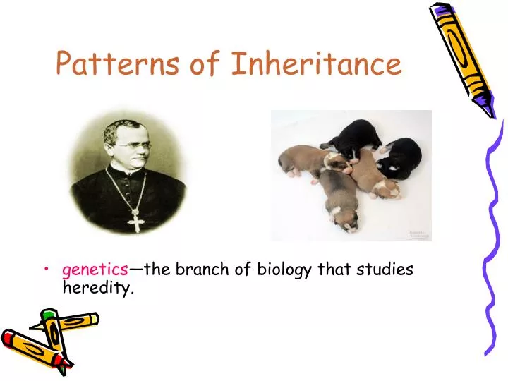PPT - Patterns of Inheritance PowerPoint Presentation, free download ...