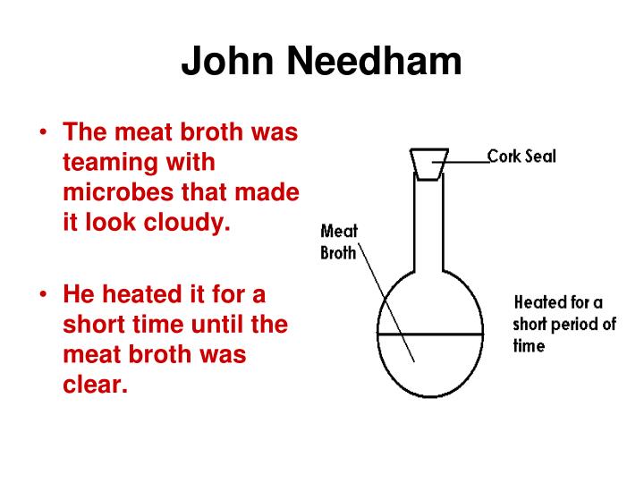 PPT - Development of the Cell Theory PowerPoint Presentation - ID:1711191