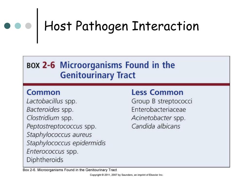 PPT - MLAB 2434 – MICROBIOLOGY KERI BROPHY-MARTINEZ PowerPoint ...