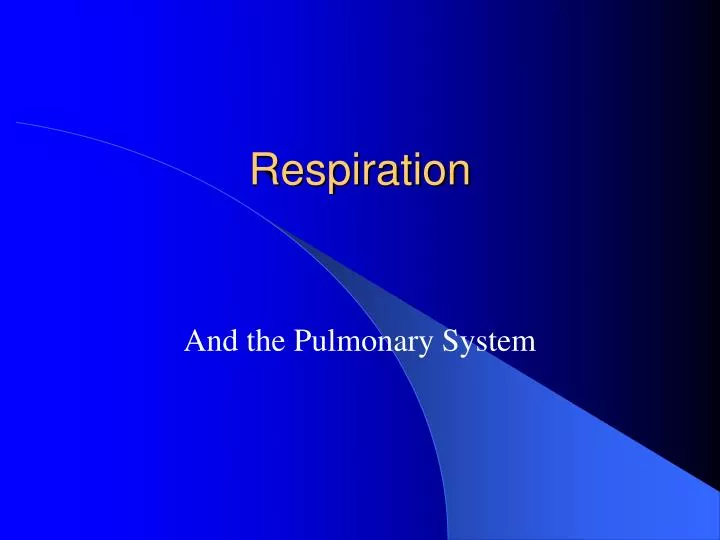 PPT - Respiration PowerPoint Presentation, free download - ID:1711241