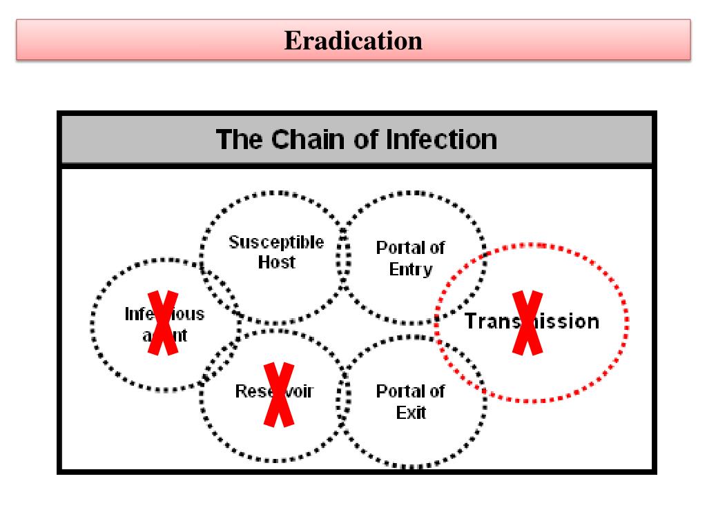 PPT - MIC 252 23. Factors favouring Global Eradication of an Infectious ...