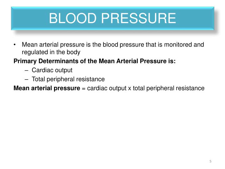PPT - Regulation of Blood Pressure PowerPoint Presentation - ID:1711383