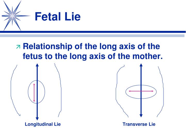 PPT - Normal Labor and Delivery Physiological Adaptations PowerPoint ...