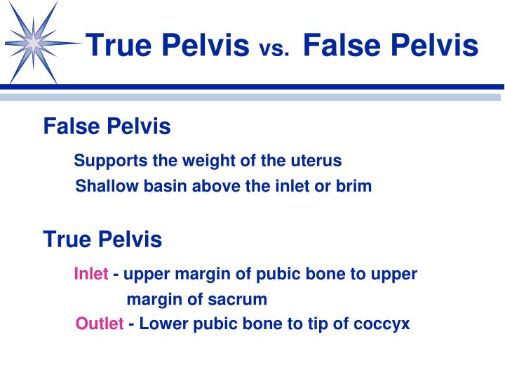 PPT - Normal Labor and Delivery Physiological Adaptations PowerPoint ...