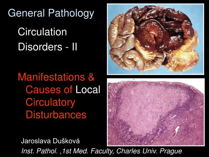 PPT - General Pathology PowerPoint Presentation, free download - ID:1712526
