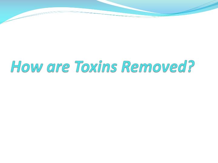 PPT - How are Toxins Removed? PowerPoint Presentation - ID:1712630