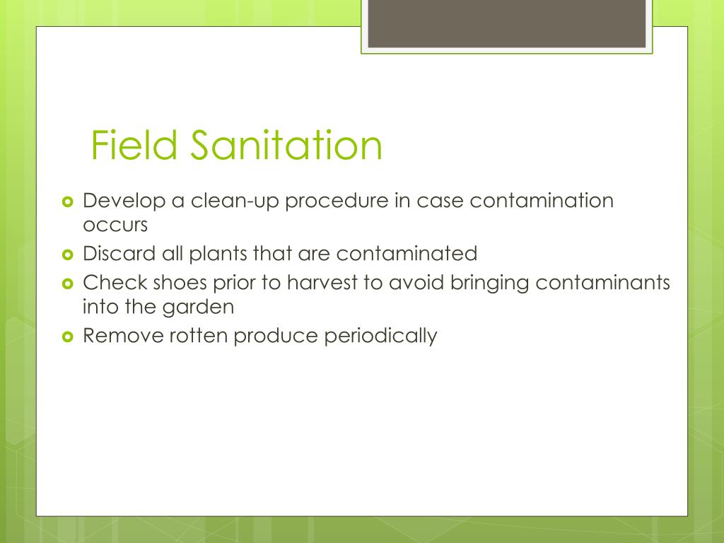 PPT - Food Safety in Your School Garden PowerPoint Presentation, free ...