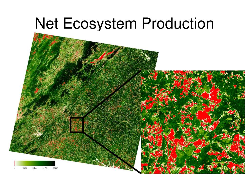 PPT - Ramakrishna Nemani, NASA ARC Richard Waring, Oregon State U ...