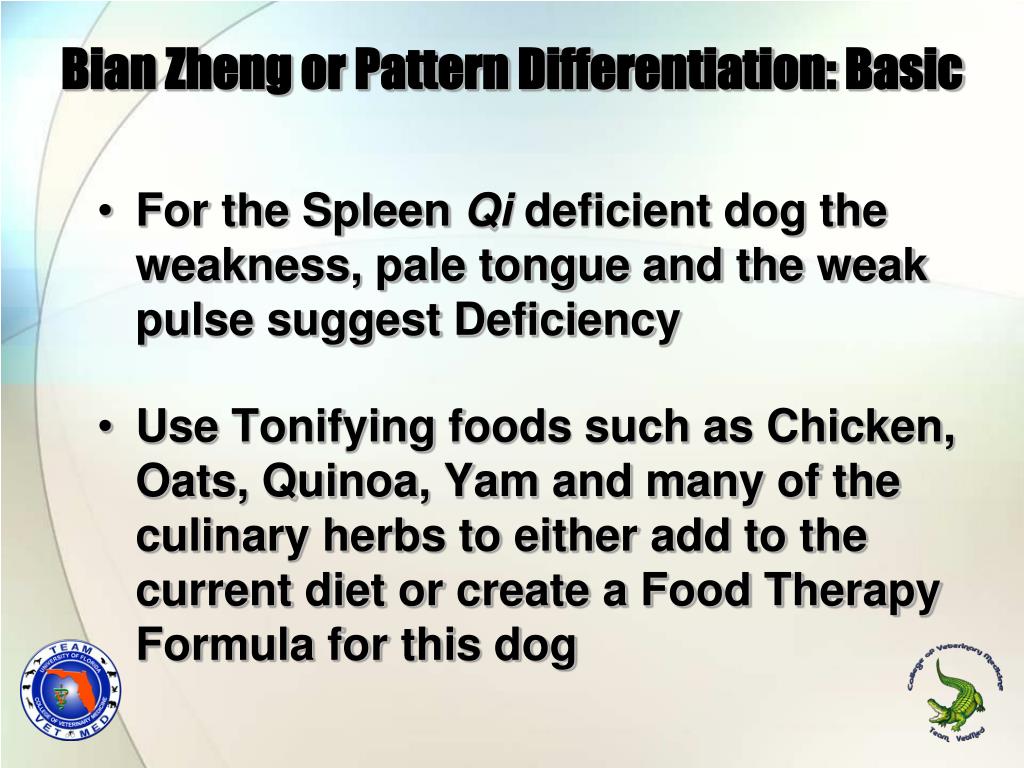 PPT - TCVM Food Therapy for Gastrointestinal Disorders PowerPoint ...