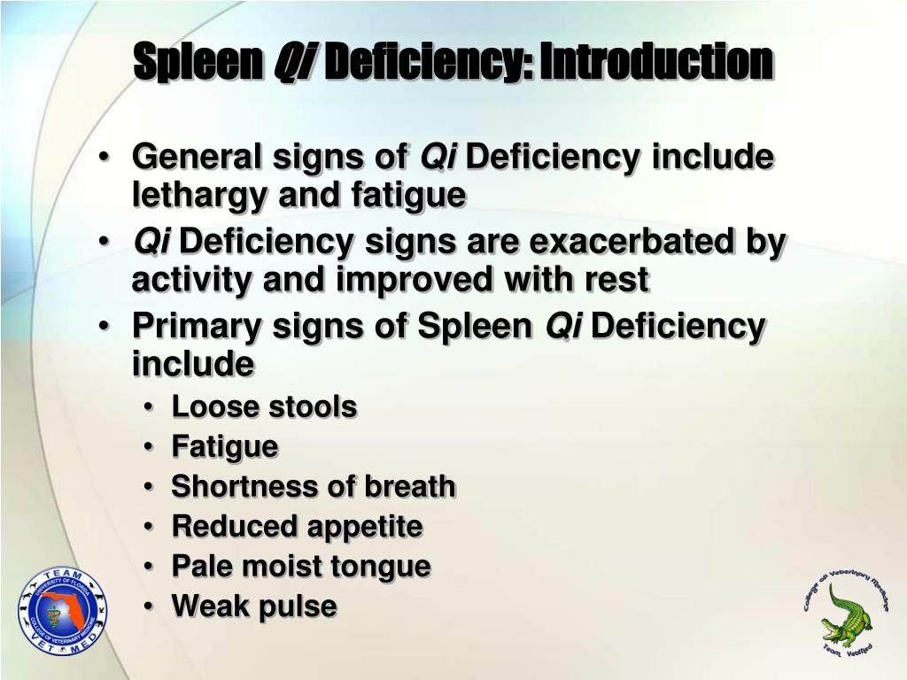 PPT - TCVM Food Therapy for Gastrointestinal Disorders PowerPoint ...