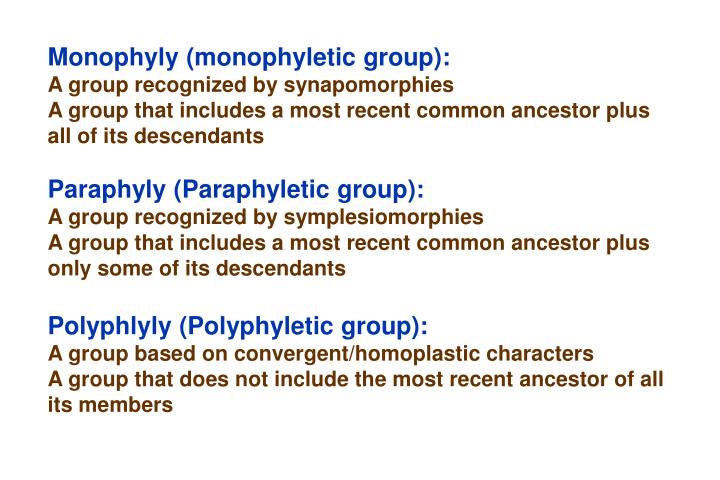 PPT - Phylogenetic Concepts PowerPoint Presentation - ID:1715104