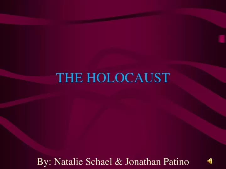 PPT - THE HOLOCAUST PowerPoint Presentation, free download - ID:1715519