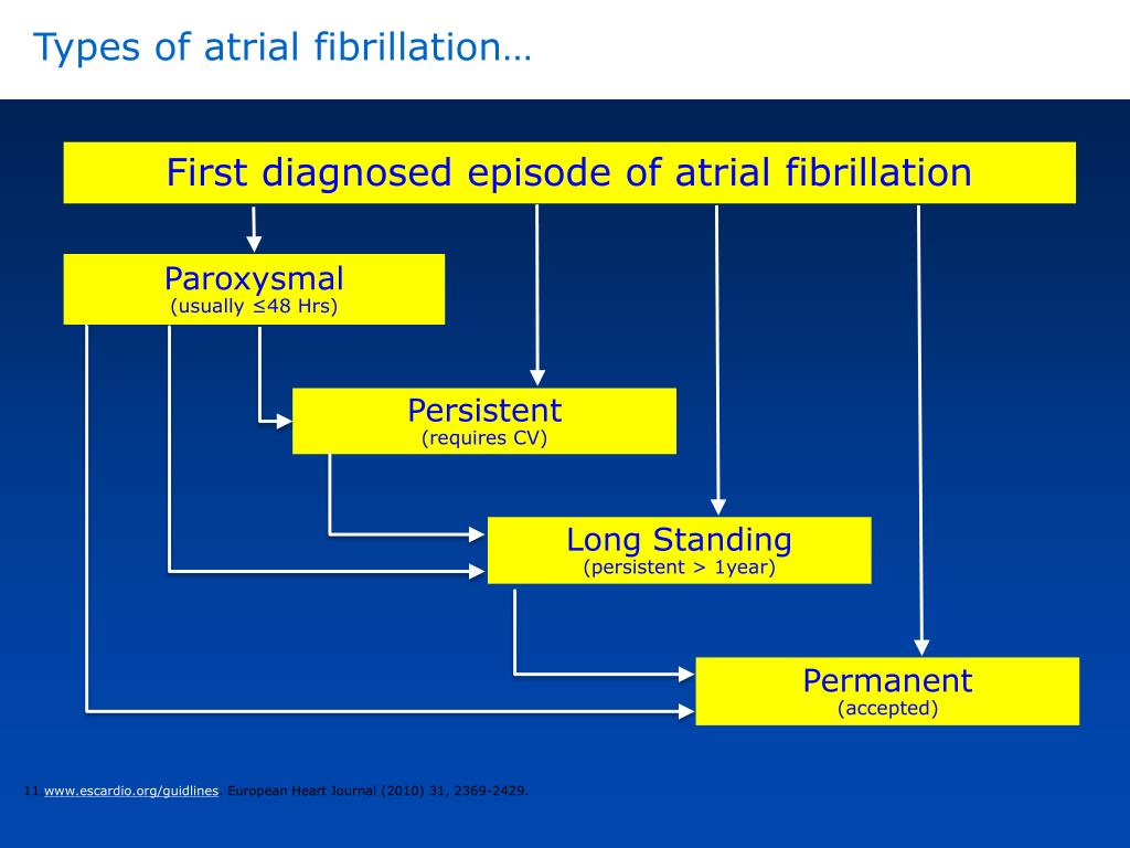 PPT - Stroke Prevention in Atrial Fibrillation How can the Pharmacy ...