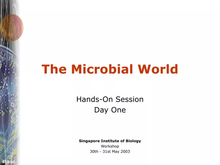 PPT - The Microbial World PowerPoint Presentation, free download - ID ...