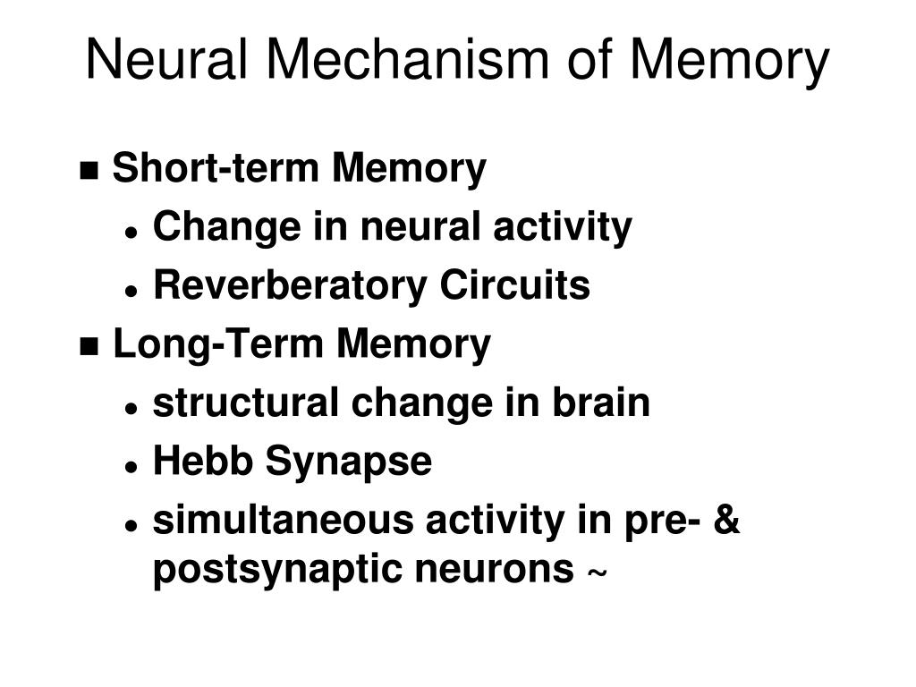 PPT - Neural Mechanisms of Learning & Memory PowerPoint Presentation ... PPT - Neural Mechanisms of Learning & Memory PowerPoint Presentation ...