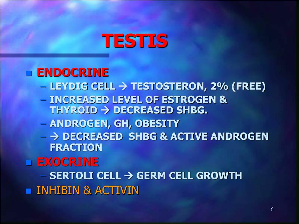 PPT - DIAGNOSIS DAN PENANGANAN INFERTILITAS PADA PRIA PowerPoint ...
