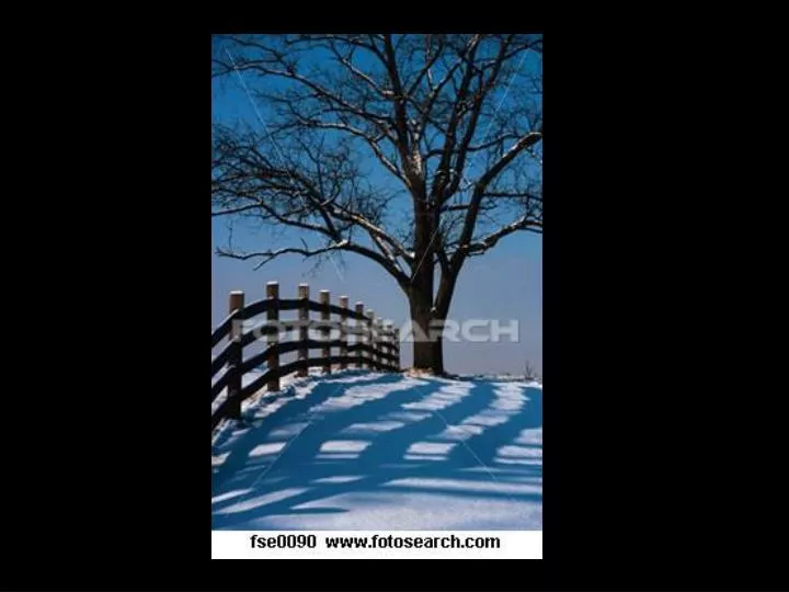 PPT - Winter Scene PowerPoint Presentation, free download - ID:1715966