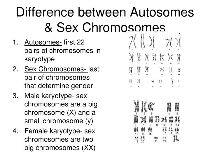 Ppt Dna Mutations And Disorders Powerpoint Presentation Id 1716649
