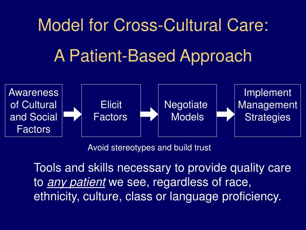 PPT - Health Care Disparities & Diversity: Developing Cultural ...