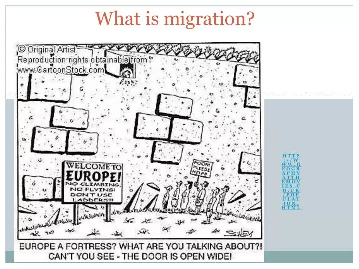 PPT - What is migration? PowerPoint Presentation, free download - ID ...