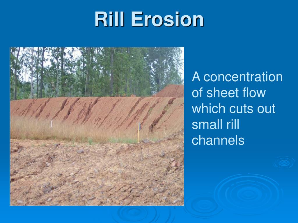 PPT - Protecting Waterways: Fighting Stormwater Pollution for a Healthy ...