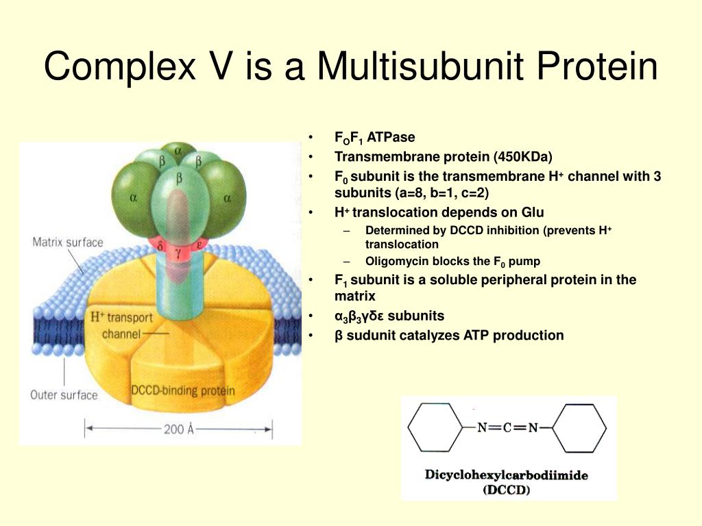 PPT - Biological Membranes and Energy Production PowerPoint ...