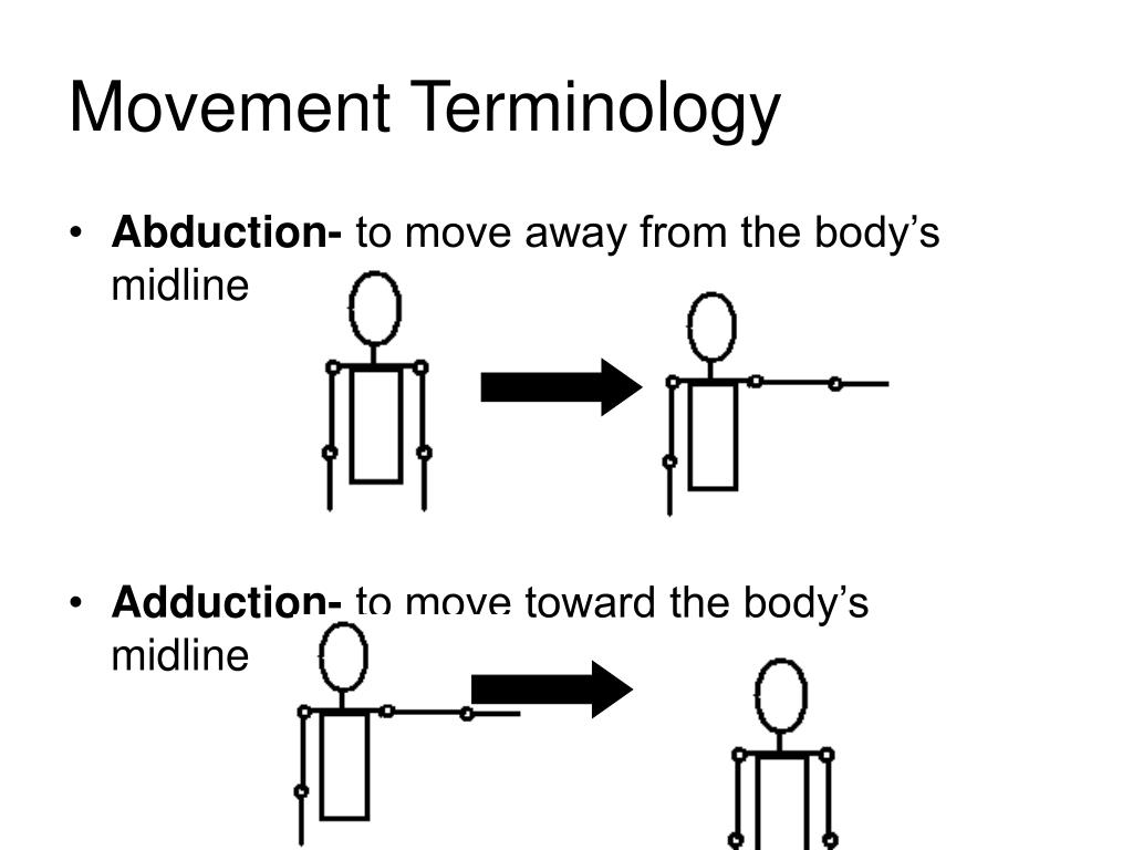 PPT - Human Anatomy and Body Systems PowerPoint Presentation, free ...