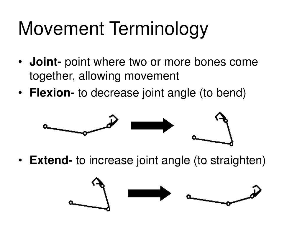 PPT - Human Anatomy and Body Systems PowerPoint Presentation, free ...