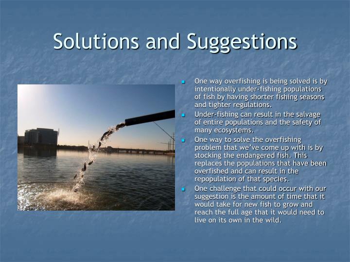 PPT - Overfishing PowerPoint Presentation - ID:1718522