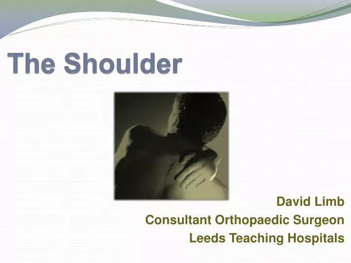 PPT - The Shoulder PowerPoint Presentation, free download - ID:1718987
