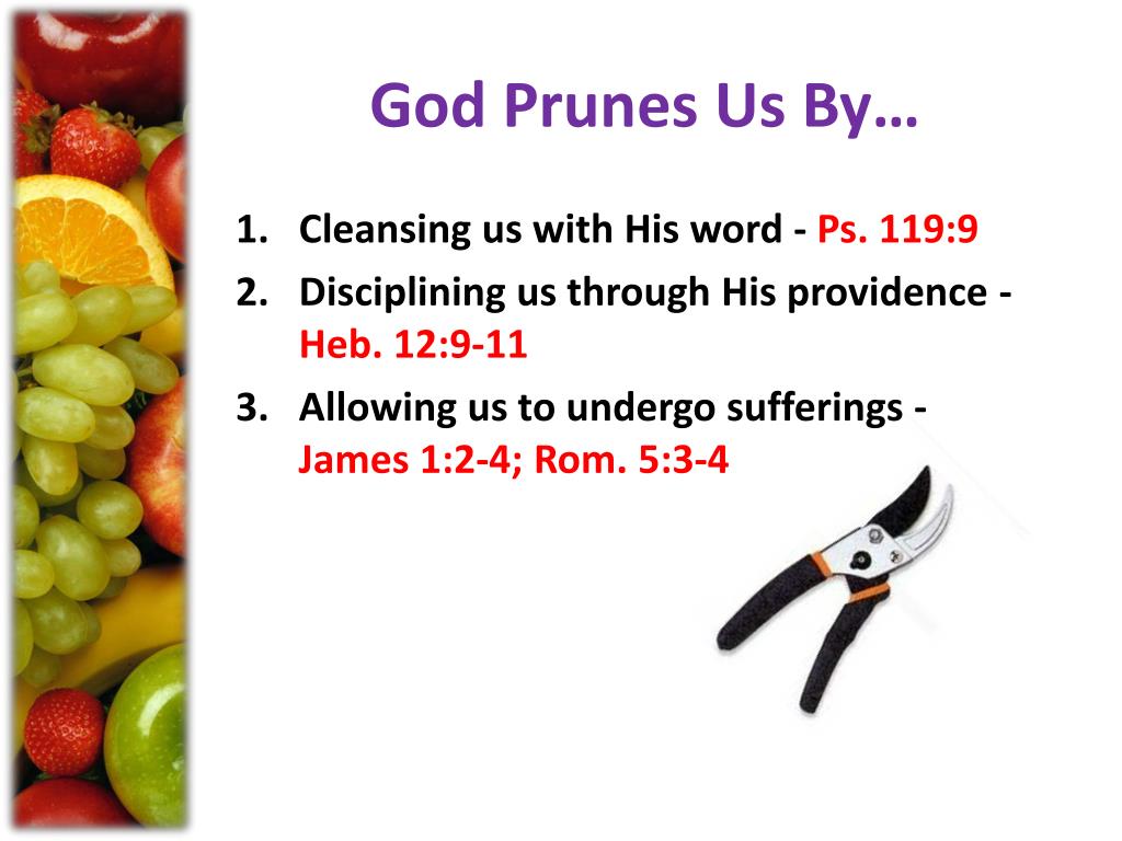 PPT - God Is Glorified In Us Bearing Fruit PowerPoint Presentation ...
