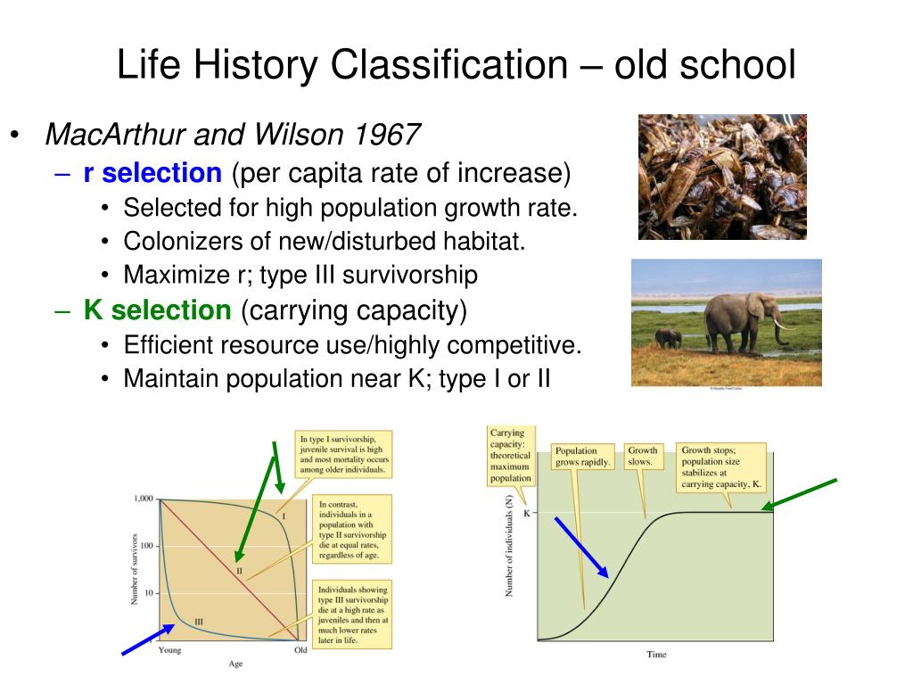 PPT - Life History = ‘stages’ of life for an organism PowerPoint ...