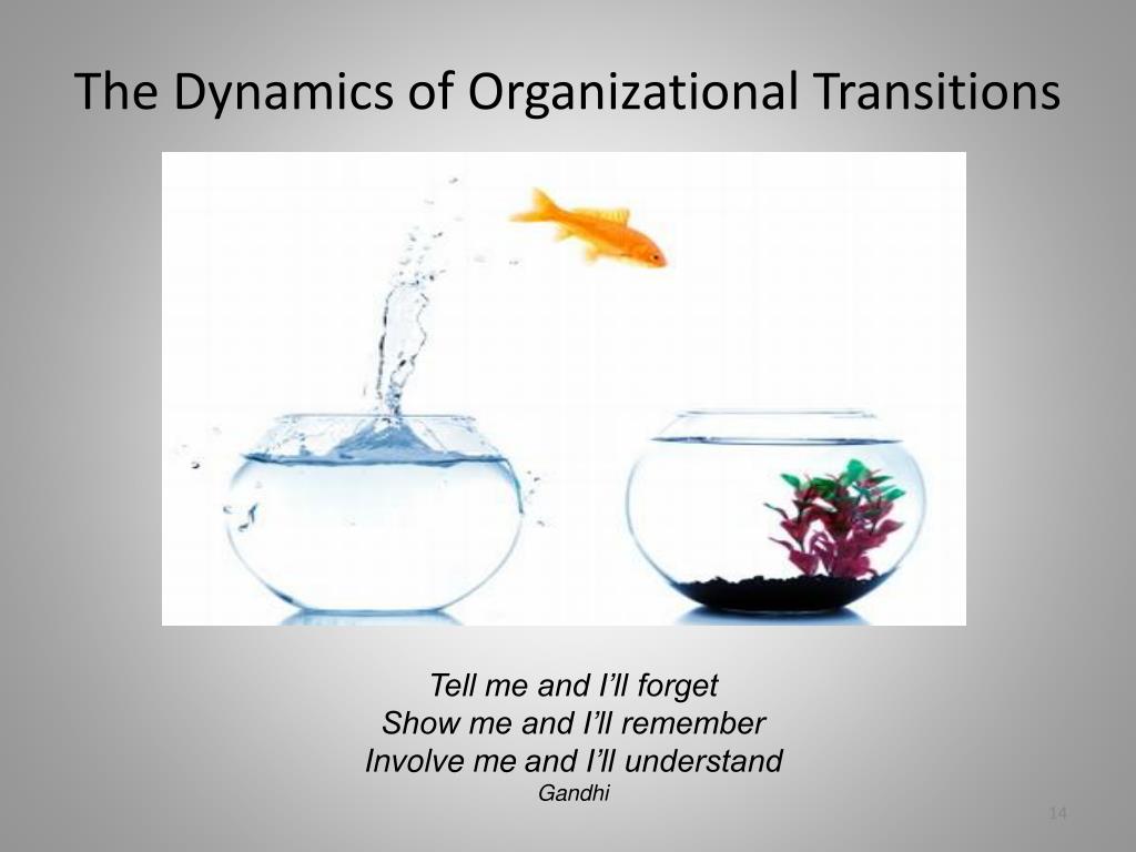 PPT - Navigating Transitions Understanding and Leading Others Through ... PPT - Navigating Transitions Understanding and Leading Others Through ...