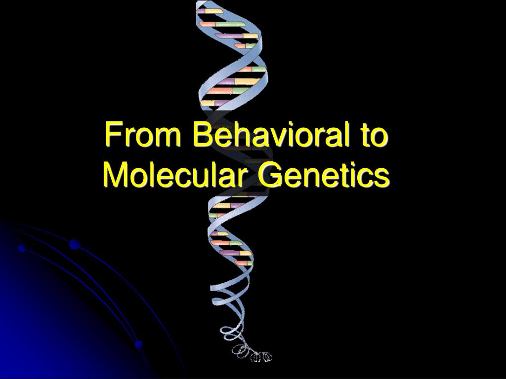PPT - Genomic Imaging of Personality: Towards a Molecular Neurobiology ...