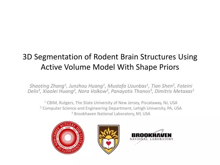 Ppt 3d Segmentation Of Rodent Brain Structures Using Active Volume