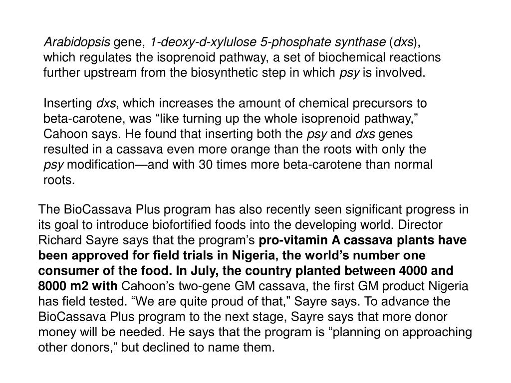 PPT - Descrioción anatómica del caracol Purpura panza ,empleado Por los ...