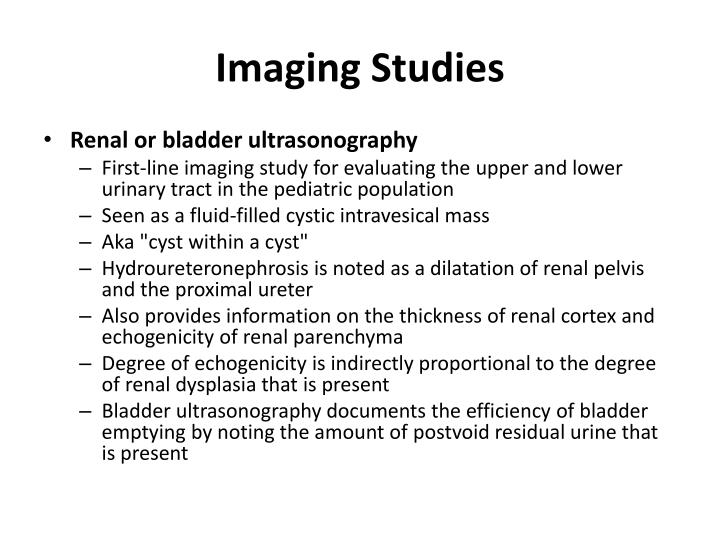 PPT - Ureterocele PowerPoint Presentation - ID:1722113
