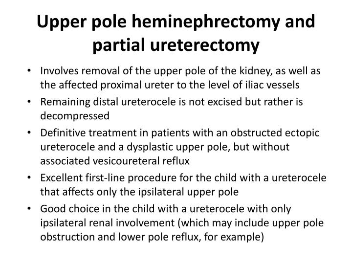 PPT - Ureterocele PowerPoint Presentation - ID:1722113