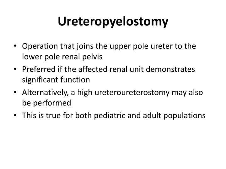 PPT - Ureterocele PowerPoint Presentation - ID:1722113