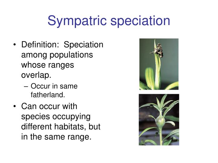 PPT - Evidence supporting theory of evolution PowerPoint Presentation ...
