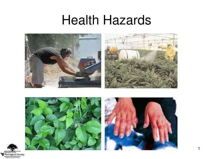 PPT - Health Hazards PowerPoint Presentation, free download - ID:1722781